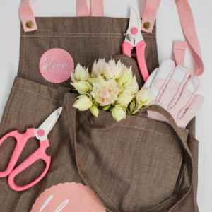 Books and Tools | Bloom College
