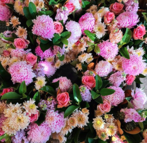 10 Sustainable Flower Growers in Victoria – Part 1 | Bloom College