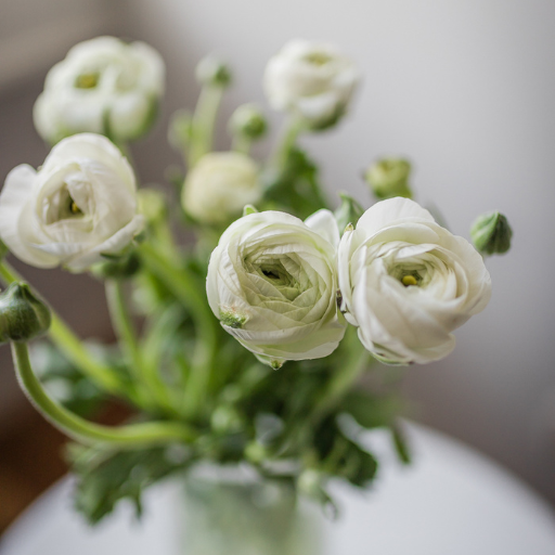 What flowers are in season for Melbourne spring? | Bloom College