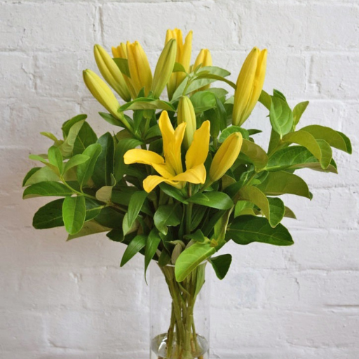 How To Make A Simple Vase Arrangement | Bloom College