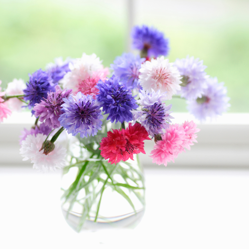 How to use colour theory in floristry | Bloom College