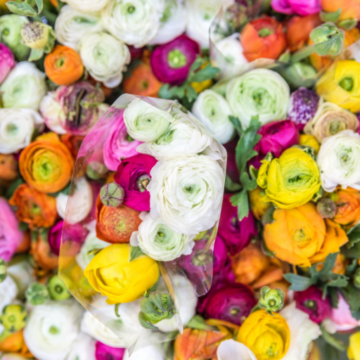 How to use colour theory in floristry | Bloom College