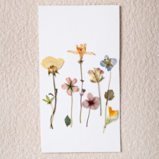 Everything You Need To Know About Flower Pressing | Bloom College